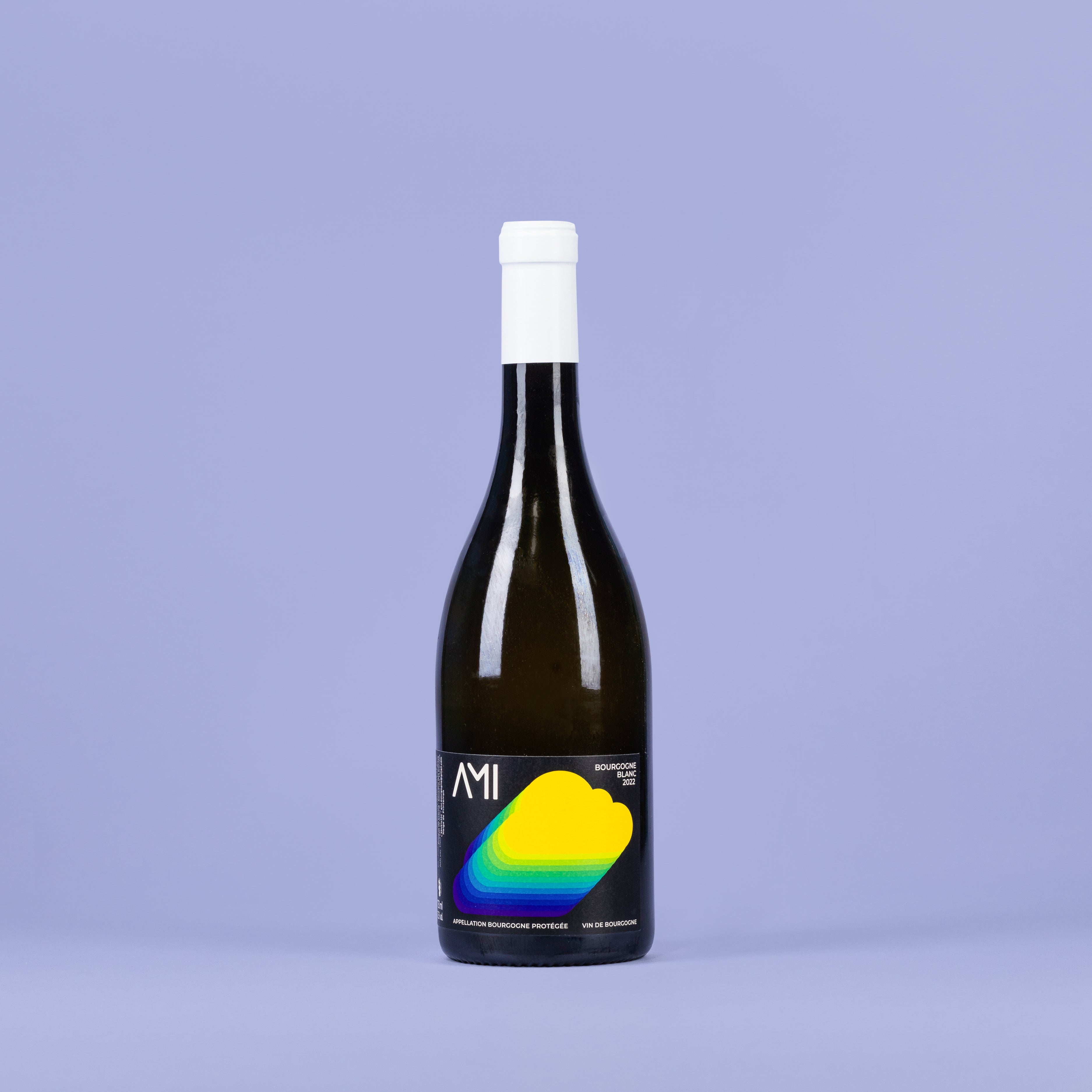 Bourgogne Blanc 'Neige de printemps' - 2022 – Volta Wine Bar Store